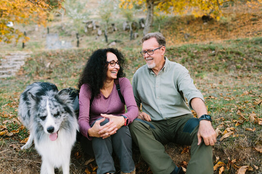 「秋の動物」の写真素材 | 1,862,058件の無料イラスト画像 | Adobe Stock