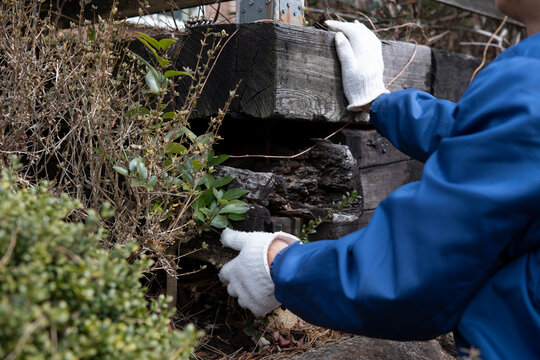 Verwesung Bilder – Durchsuchen 32,488 Archivfotos, Vektorgrafiken und ...
