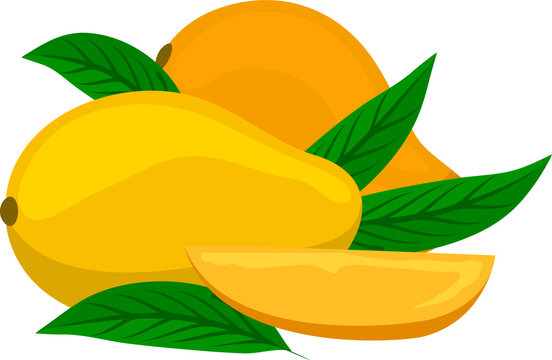 "Philippine Mango" Images – Browse 2,230 Stock Photos, Vectors, and ...
