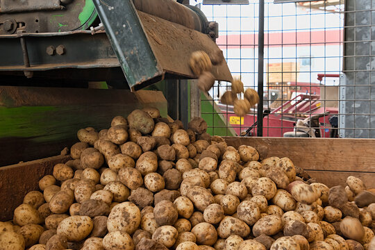 "Piling Up" Images – Browse 1,221 Stock Photos, Vectors, and Video ...