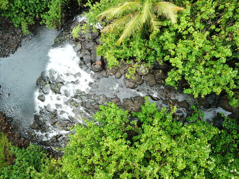 Pohnpei Images – Browse 564 Stock Photos, Vectors, and Video | Adobe Stock