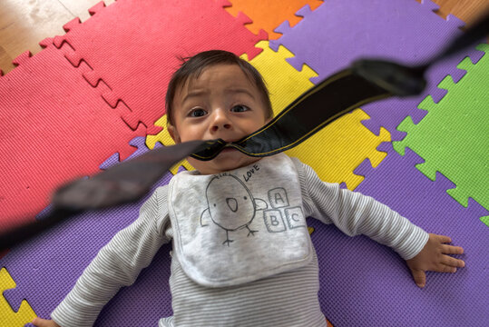 Imágenes de Flog: descubre bancos de fotos, ilustraciones, vectores y ...