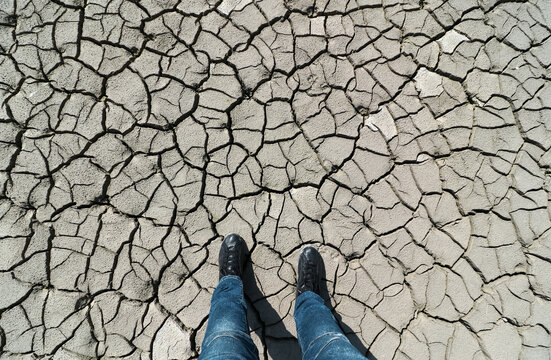 รูปภาพErdreich – เลือกดูภาพถ่ายสต็อก เวกเตอร์ และวิดีโอ3,076 | Adobe Stock