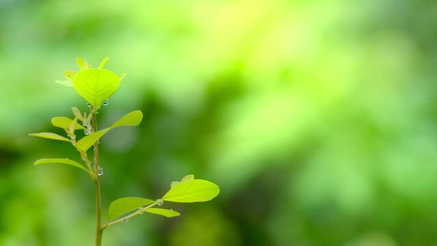 Prestation Images – Browse 909 Stock Photos, Vectors, and Video | Adobe ...