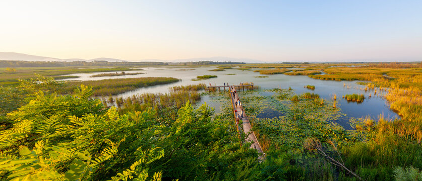 「Quite」の画像 - 45,965 件の Stock 写真、ベクターおよびビデオ | Adobe Stock
