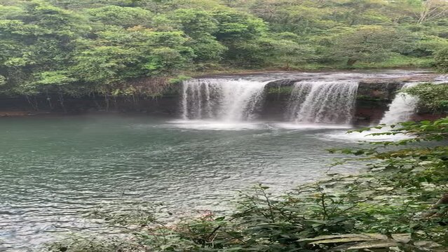 「Champee」の写真素材 | 43件の無料イラスト画像 | Adobe Stock