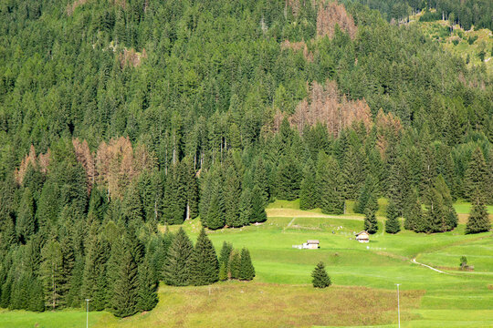 รูปภาพDolomitic – เลือกดูภาพถ่ายสต็อก เวกเตอร์ และวิดีโอ3,996 | Adobe Stock