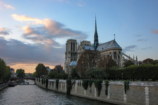 ノートルダム Images – Browse 793 Stock Photos, Vectors, and Video | Adobe Stock