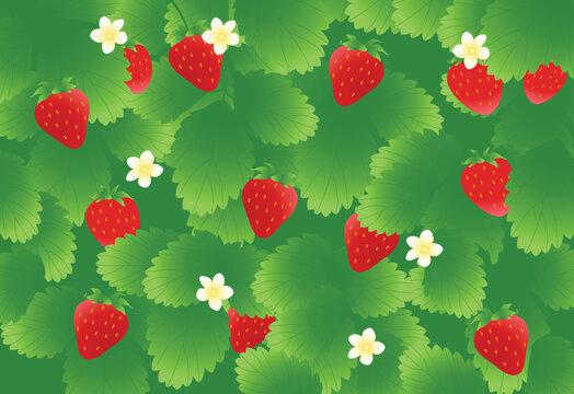 "Strawberry Background" Images – Browse 3,338 Stock Photos, Vectors ...