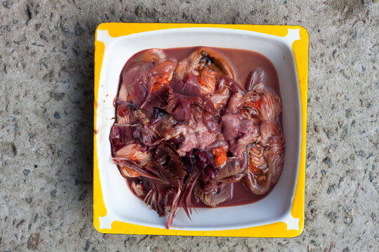 "Inedible Imagens – Procure 35,147 fotos, vetores e vídeos | Adobe Stock