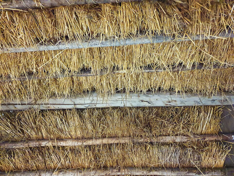 Inside Thatched Roof Images – Browse 752 Stock Photos, Vectors, and ...