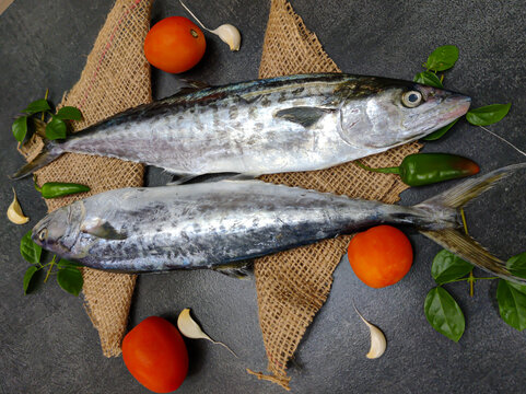 "King Fish" Images – Browse 685 Stock Photos, Vectors, and Video ...