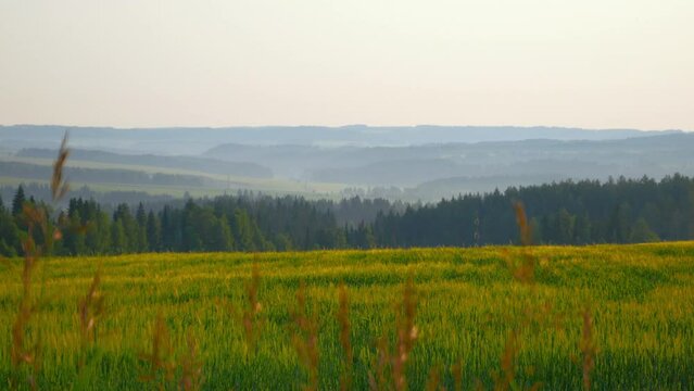 Infinite Horizon"」の写真素材 | 191件の無料イラスト画像 | Adobe Stock