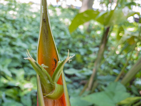 รูปภาพPalulu – เลือกดูภาพถ่ายสต็อก เวกเตอร์ และวิดีโอ94 | Adobe Stock