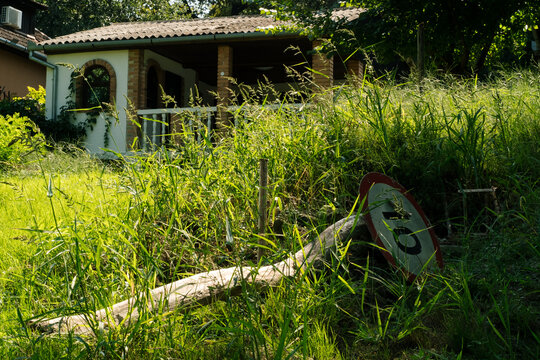 Imagens de Bezdan – Explore Fotografias do Stock, Vetores e Vídeos de ...