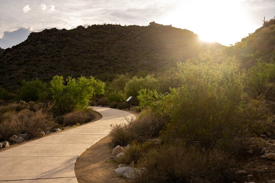 Winding Path Desert Images – Browse 6,268 Stock Photos, Vectors, and ...