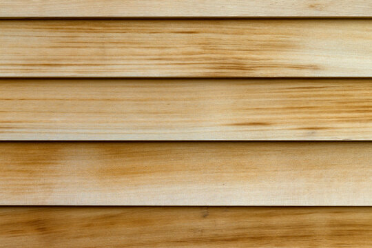 Cedar Siding Texture
