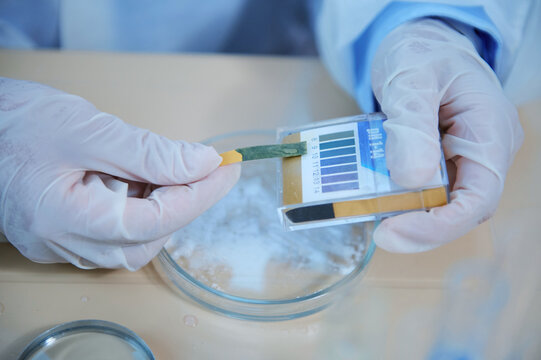 "Ph Test" Images – Browse 219 Stock Photos, Vectors, and Video | Adobe ...