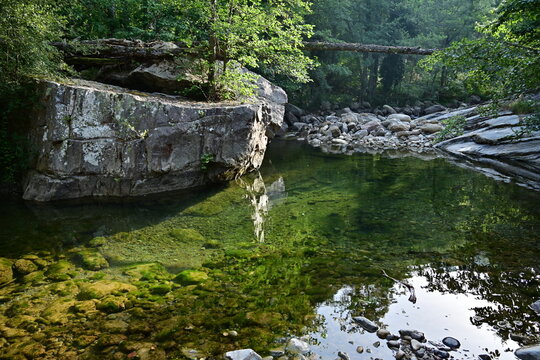 「Hayas」の画像 - 1,299 件の Stock 写真、ベクターおよびビデオ | Adobe Stock
