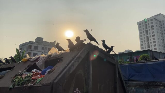 Unhygenic Imagens – Procure 274 fotos, vetores e vídeos | Adobe Stock