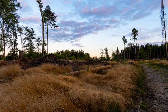 Befall Images – Browse 61,726 Stock Photos, Vectors, and Video | Adobe ...