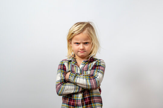 รูปภาพSulk – เลือกดูภาพถ่ายสต็อก เวกเตอร์ และวิดีโอ2,717 | Adobe Stock