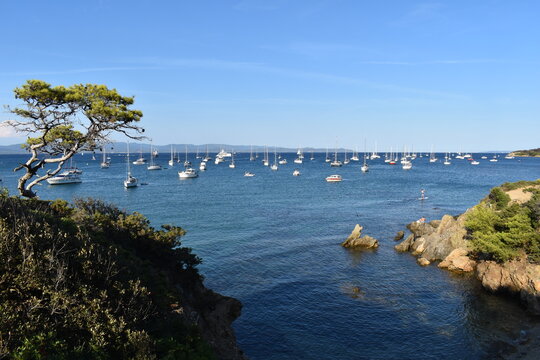 Crique Bilder – Durchsuchen 9,001 Archivfotos, Vektorgrafiken und ...