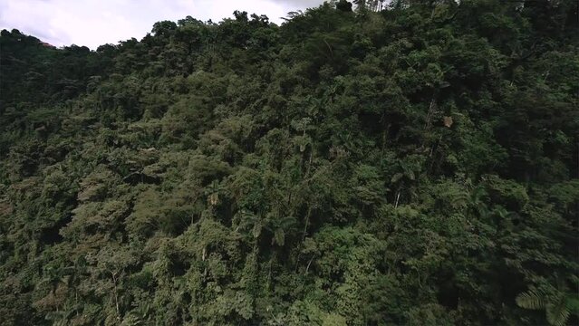 Hule Images – Browse 193 Stock Photos, Vectors, and Video | Adobe Stock