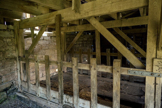 "Barn Stall" Images – Browse 24 Stock Photos, Vectors, and Video ...