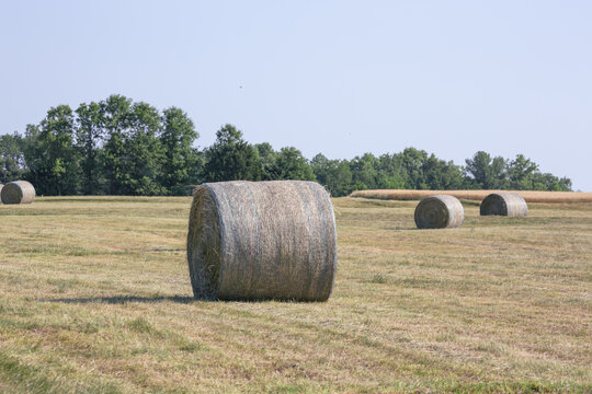 Hay-Bales Images – Browse 50 Stock Photos, Vectors, and Video | Adobe Stock