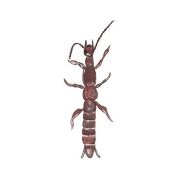 Web-Spinner Images – Browse 49 Stock Photos, Vectors, and Video | Adobe ...