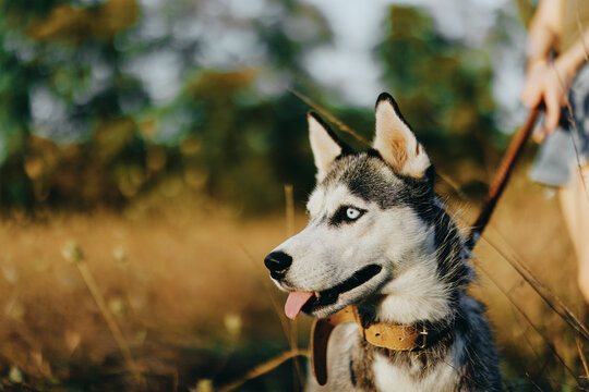 รูปภาพSun-Scorched – เลือกดูภาพถ่ายสต็อก เวกเตอร์ และวิดีโอ791 | Adobe ...