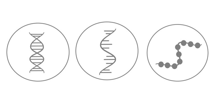 Protein Structure Clipart