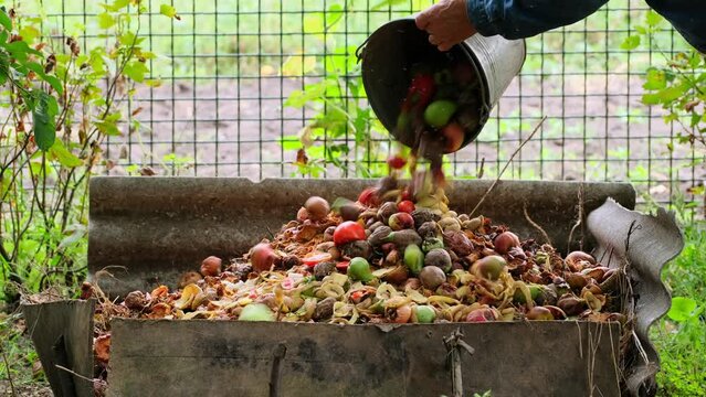 Bio-Waste Images – Browse 15,707 Stock Photos, Vectors, and Video ...