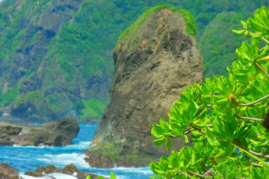 "Java Sea" Bilder – Durchsuchen 230 Archivfotos, Vektorgrafiken und ...