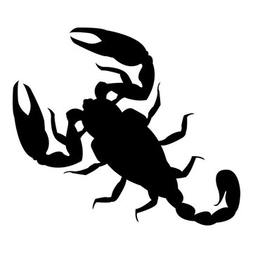 รูปภาพAlacran – เลือกดูภาพถ่ายสต็อก เวกเตอร์ และวิดีโอ174 | Adobe Stock