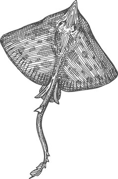 Torpedorochen Bilder – Durchsuchen 37 Archivfotos, Vektorgrafiken und ...