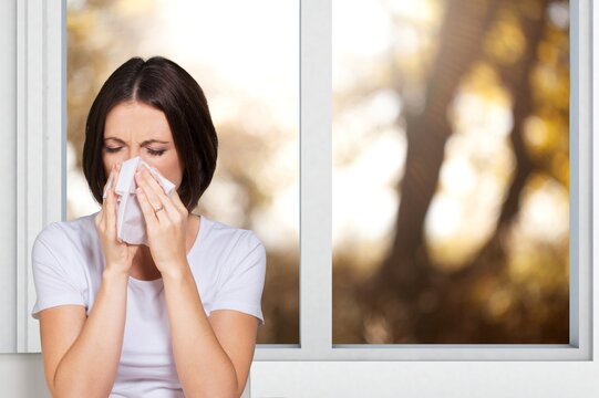 รูปภาพInfluenca – เลือกดูภาพถ่ายสต็อก เวกเตอร์ และวิดีโอ286 | Adobe Stock