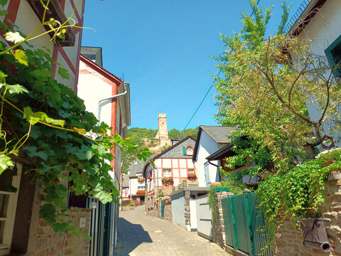 Philipp Bilder – Durchsuchen 1,515 Archivfotos, Vektorgrafiken und ...