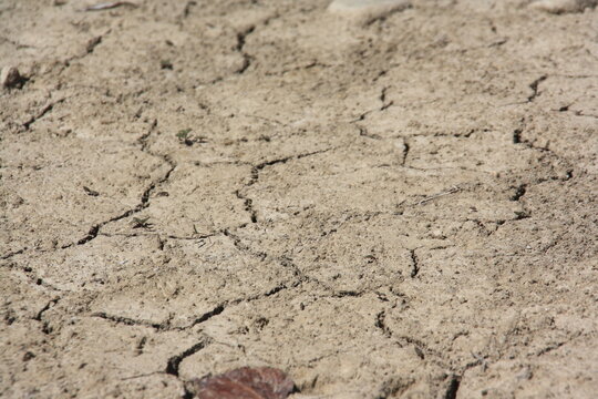 Imágenes de Cuarteado: descubre bancos de fotos, ilustraciones ...
