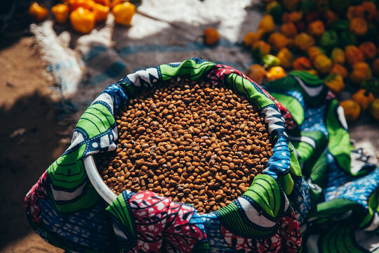 รูปภาพTanji – เลือกดูภาพถ่ายสต็อก เวกเตอร์ และวิดีโอ115 | Adobe Stock