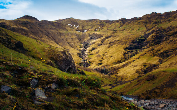Tuft 이미지 – 찾아보기 73,128 스톡 사진, 벡터 및 비디오 | Adobe Stock