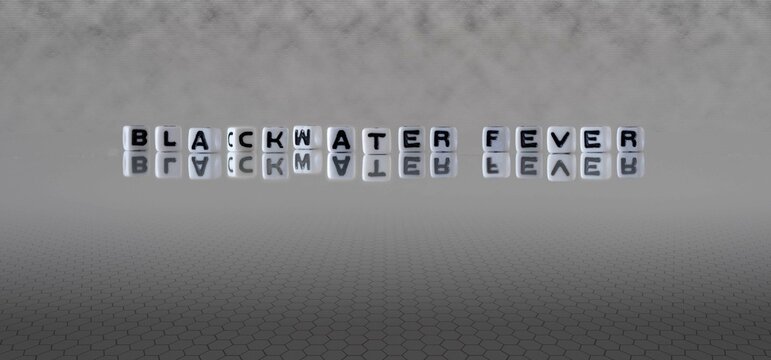 Blackwater Imagens – Procure 2,609 fotos, vetores e vídeos | Adobe Stock