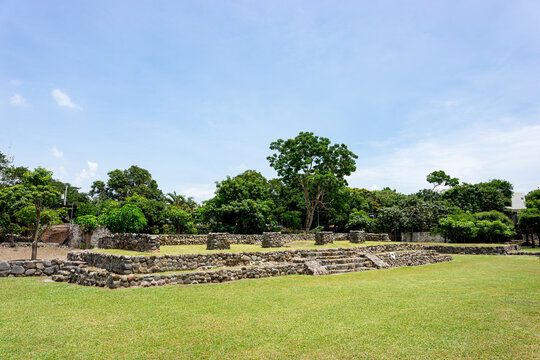 Capacha Images – Browse 15 Stock Photos, Vectors, and Video | Adobe Stock