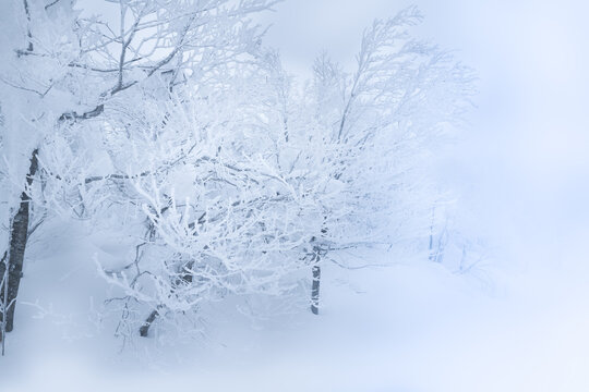 「Whiteout」の画像 - 6,310 件の Stock 写真、ベクターおよびビデオ | Adobe Stock