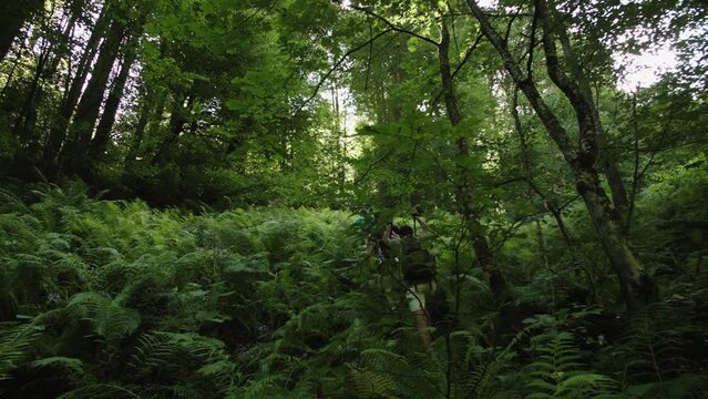 Entomolog Images – Browse 56 Stock Photos, Vectors, and Video | Adobe Stock