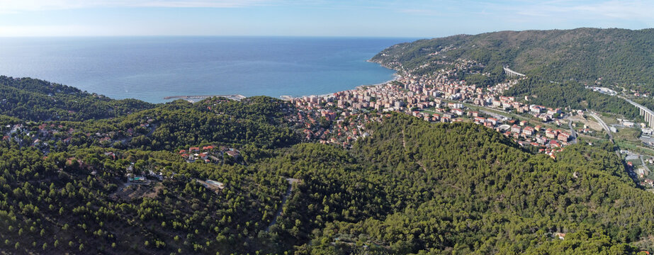 "Colla-Bilder: Stock-Fotos & -Videos. | Adobe Stock