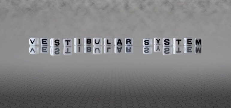 "Vestibular System" Images – Browse 677 Stock Photos, Vectors, and ...
