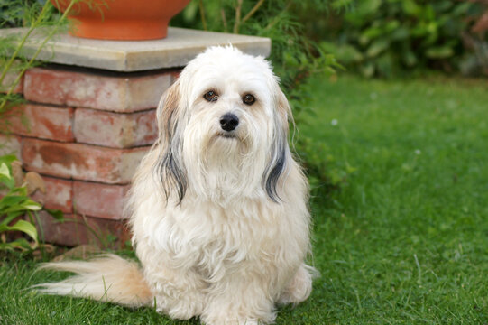 Hava Bilder – Durchsuchen 3,673 Archivfotos, Vektorgrafiken und Videos ...