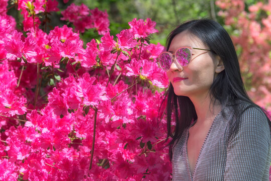 "Pink Azalea" Bilder – Durchsuchen 531 Archivfotos, Vektorgrafiken und ...